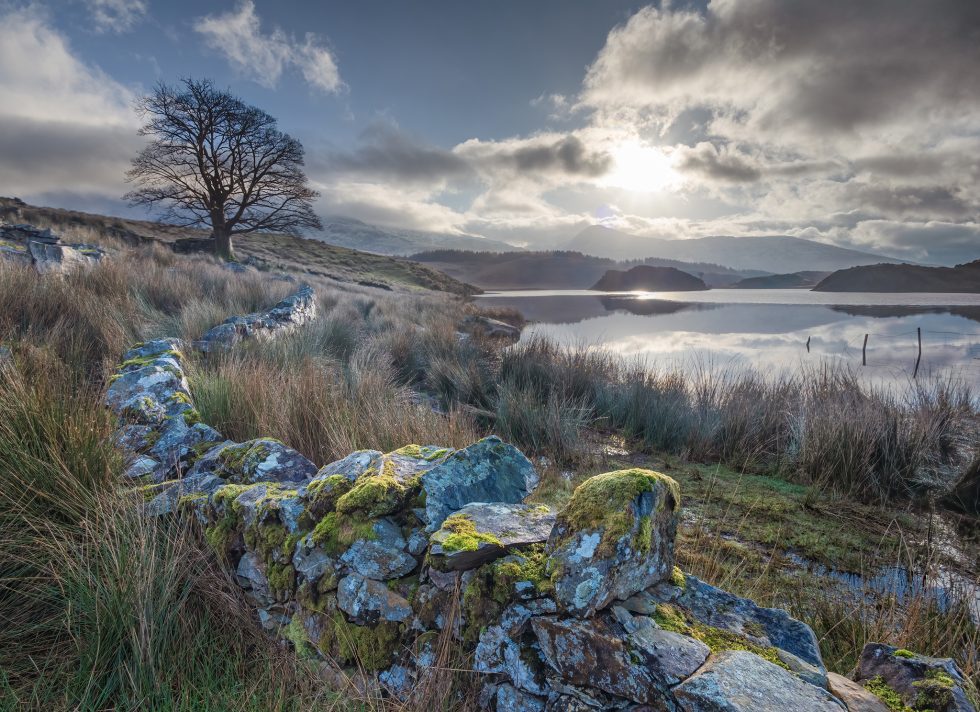 D Griff Gallery | Landscape Photography, Anglesey, North Wales